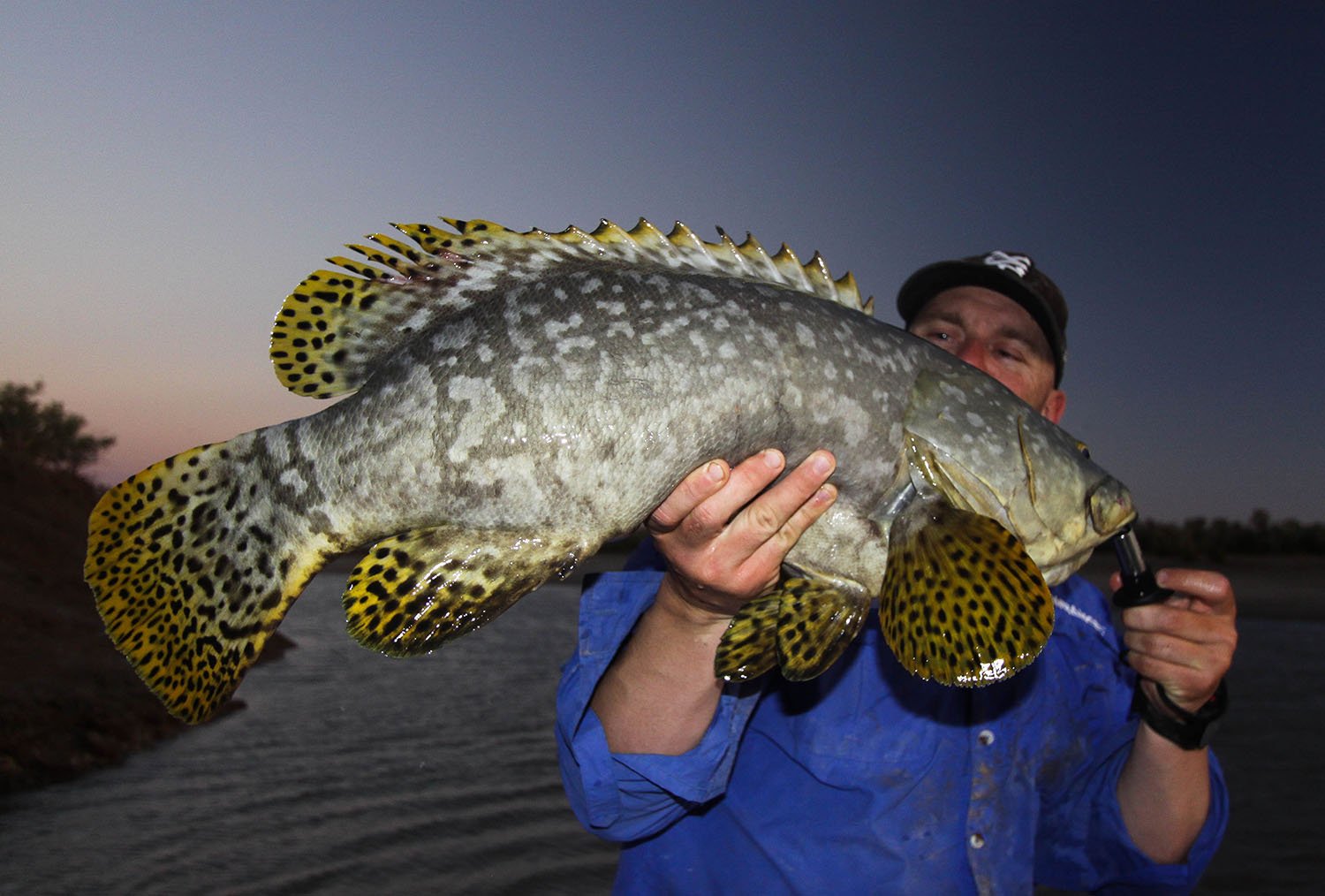 Fishing for big black jewfish around the full moon in Western Australia